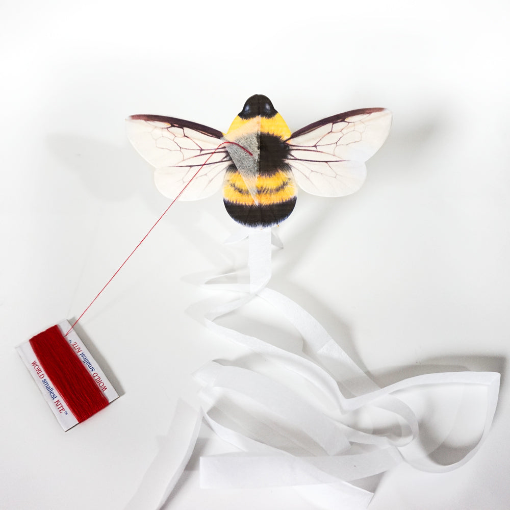 bee KITE – WORLD smallest KITE / kitecompany.com